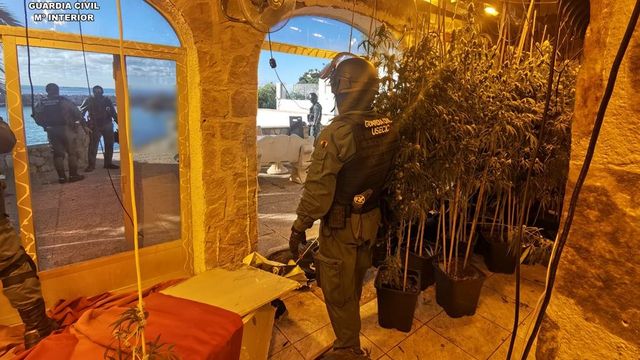 Desmantelan una plantación de marihuana en un exclusivo chalet de Calpe