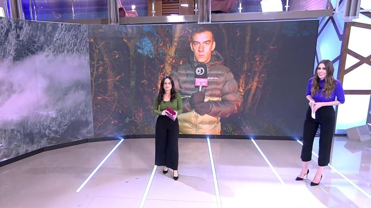 ¿Conoces la helada negra?: El fenómeno que llegará a España en los ...