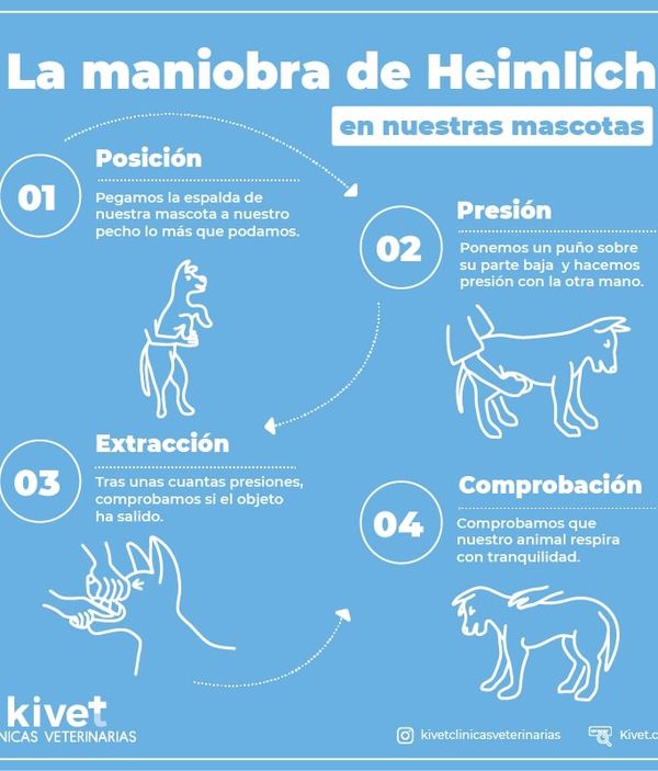 Cómo hacer la maniobra maniobra de Heimlich a tu perro