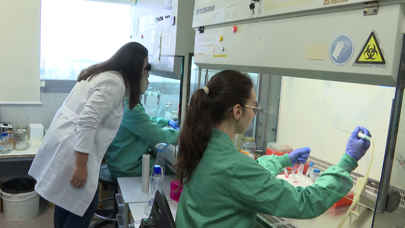 Casi la mitad de la población mundial tiene alguna patología neurológica