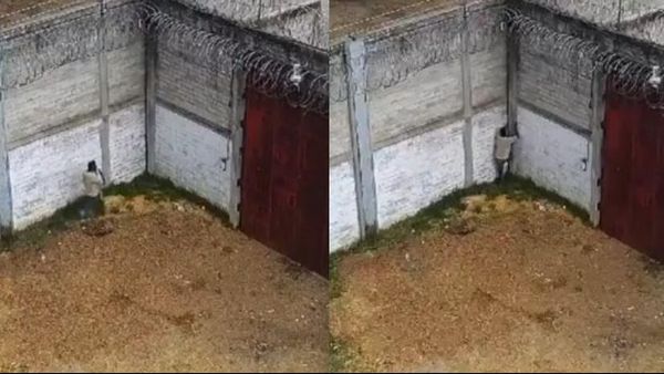 La fuga de un preso en una cárcel de México se hace viral