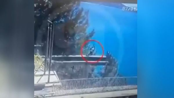 La influencer rusa Inessa Polenko muere haciéndose un selfi en un ...