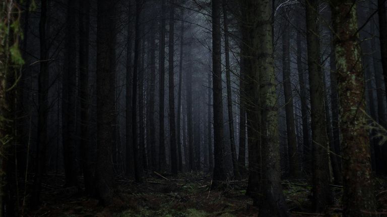 Estos son los 10 bosques más tenebrosos del mundo: ¿te atreverías a entrar?