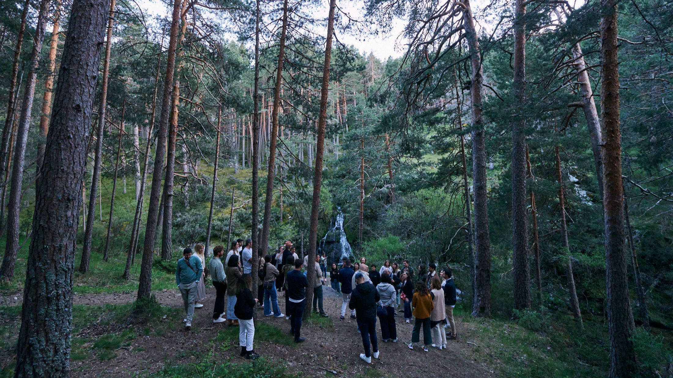 Cata de whisky, cena y orgullo por lo nuestro: la propuesta de DYC para las noches de verano