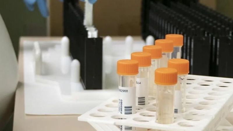 Virus mpox: la UE "no recomienda" el control en las fronteras por la ...