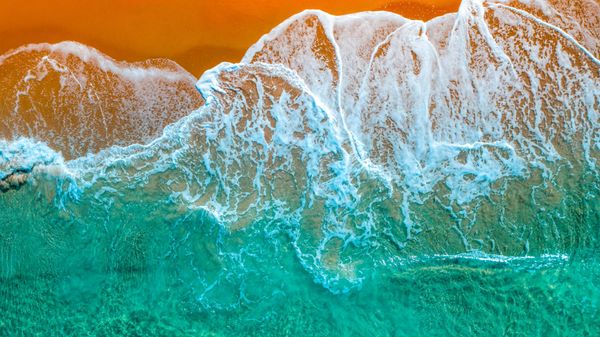 Por qué el mar azul de tu infancia se está volviendo de color verde