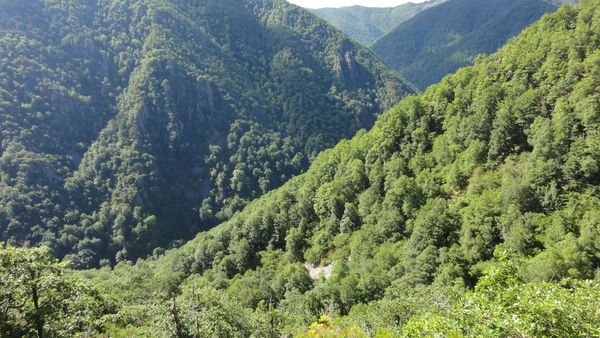 Los 10 bosques más bonitos de España para descubrir en otoño
