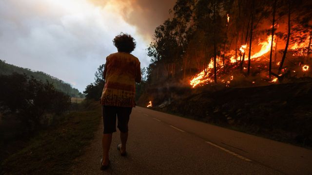 Incendios en Portugal: ¿por qué el fuego se ha extendido tan rápido?