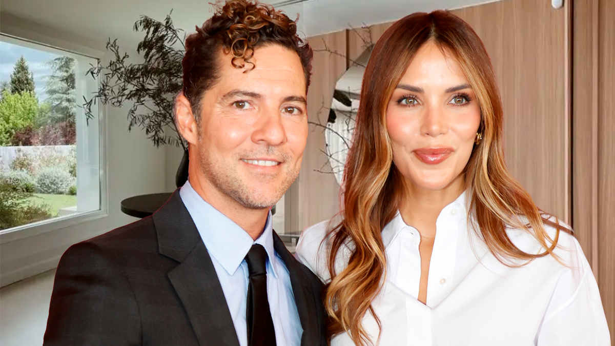 Rosanna Zanetti, mujer de David Bisbal: así han cambiado ella y sus ...