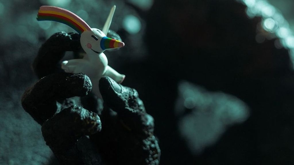 La historia detrás de Curro, el pájaro multicolor que lleva siendo un ...