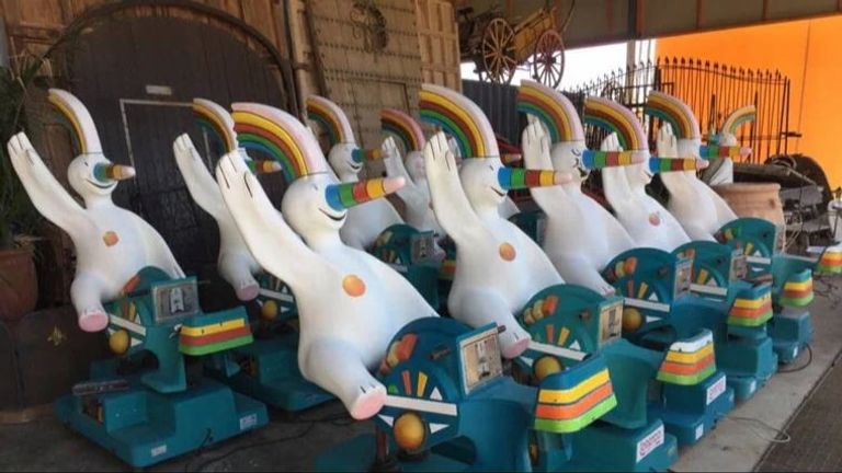 La historia detrás de Curro, el pájaro multicolor que lleva siendo un ...