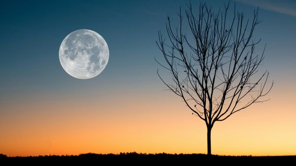 Qué significa la Luna en la revolución solar