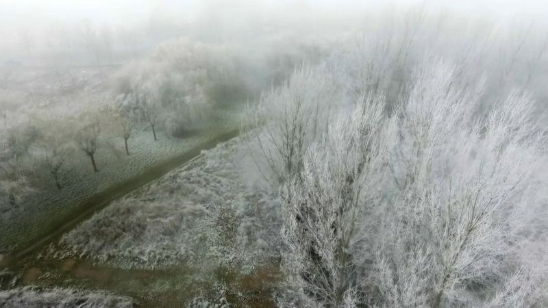 Cencellada, a vista de dron desde Salamanca: así se congelaron los bosques