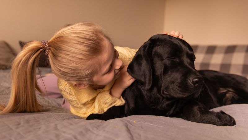 Las 10 mejores razas de perros para convivir con niños