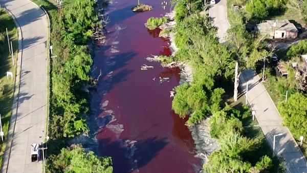 Un arroyo se tiñe de rojo en Argentina y los vecinos denuncian la situación