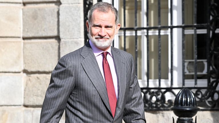 El rey Felipe se reúne con la familia Alba en el Palacio de Liria: una ...