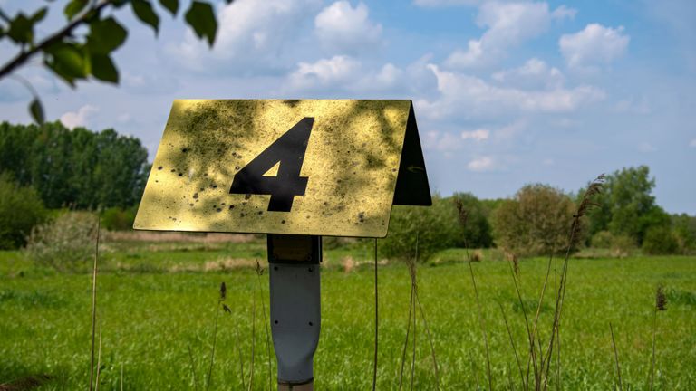 Significado del número 4 en numerología: amor, dinero y compatibilidades