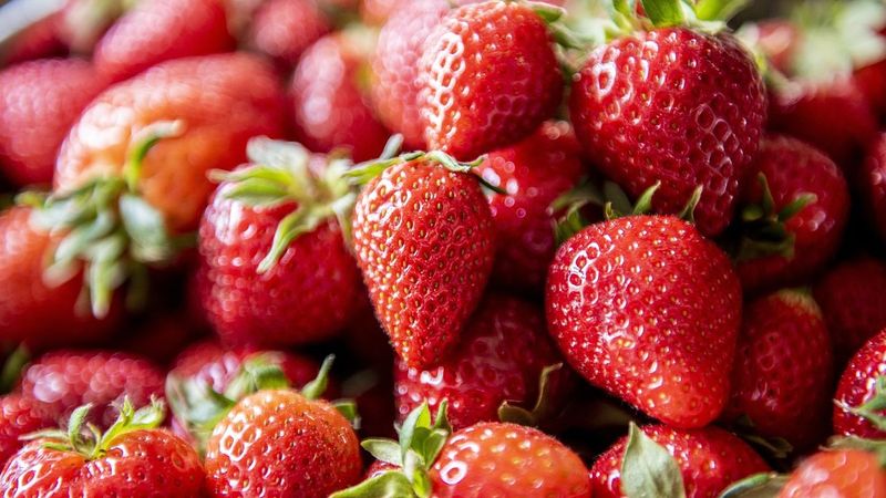 El ingrediente que usa el chef José Andrés para que las fresas tengan ...