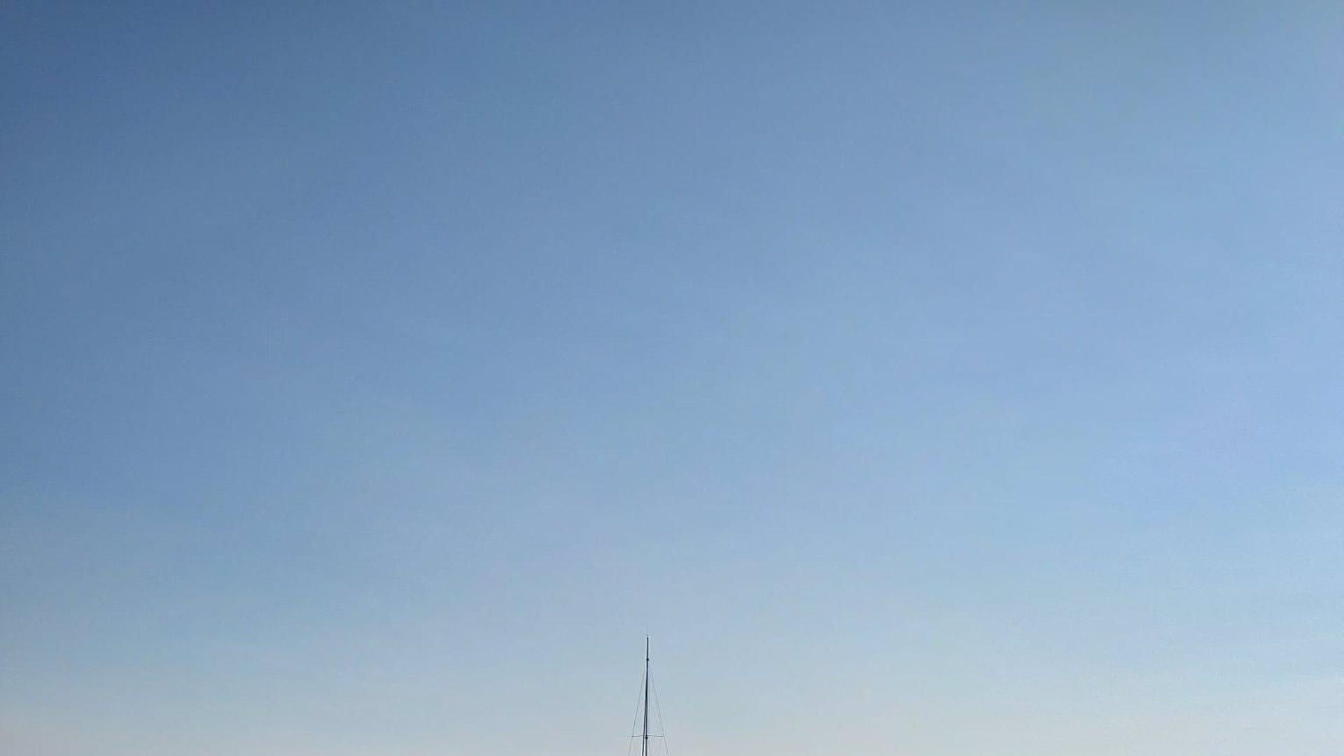 Vuelven las orcas del Estrecho: atacan a un catamarán en Barbate