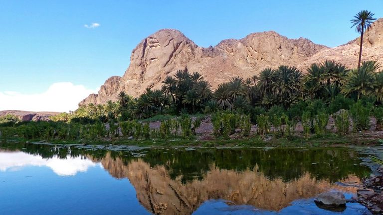 Oasis del desierto: por qué no se secan y cómo mantienen la vida