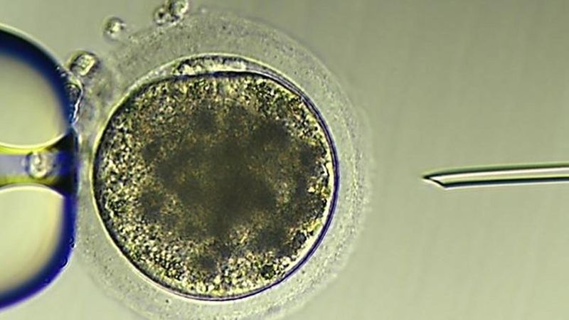 Thaddeus, el 'bebé más viejo del mundo': su embrión estuvo congelado 30 ...