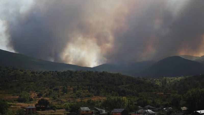 El incendio de Las Médulas: los castaños centenarios han sido ...