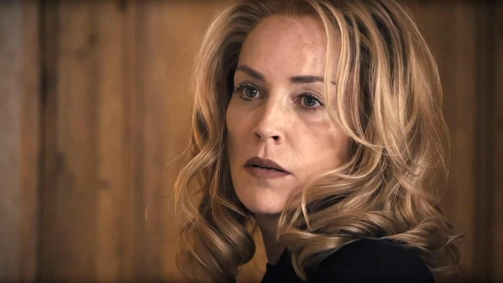 Sharon Stone posa a los 67 años y se convierte en un icono de fortaleza ...