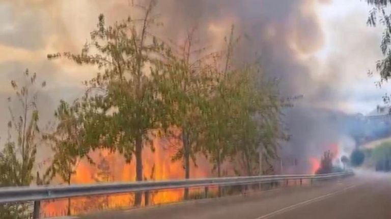Detienen a un joven de 20 años por provocar el incendio en Berlanga del Bierzo, León