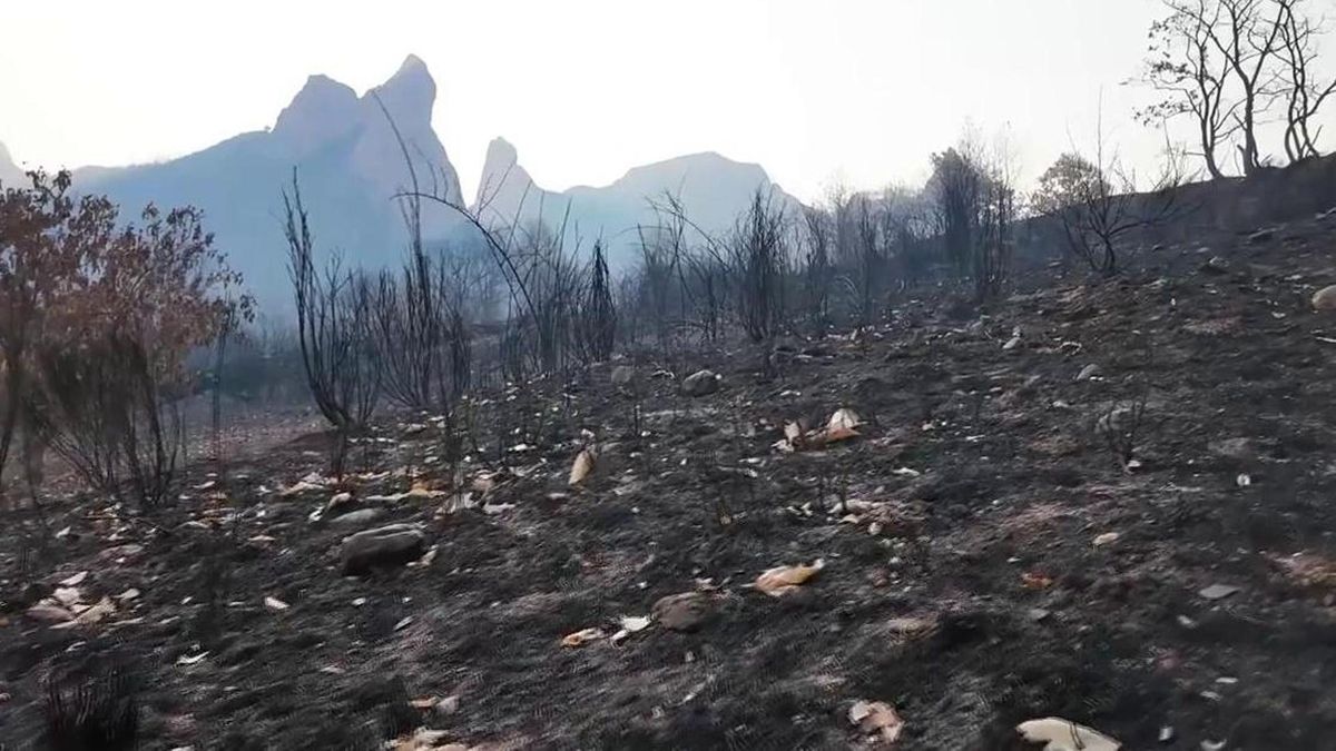 La cicatriz del incendio de Las Médulas: el patrimonio de la humanidad ...