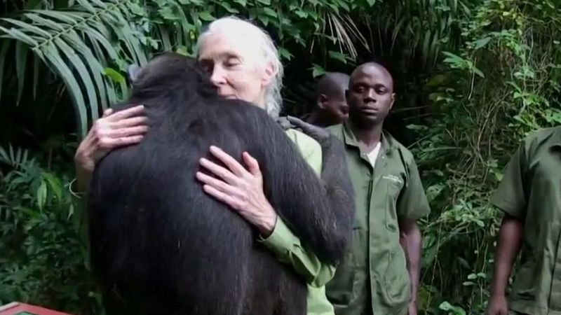 Muere la primatóloga Jane Goodall a los 91 años de edad