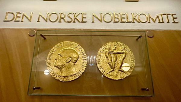 Premio Nobel 2025: lo que se sabe del proceso de selección de los ganadores
