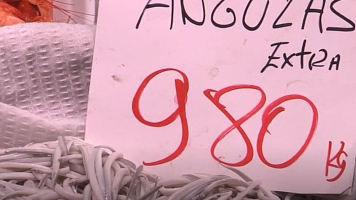 Esta Navidad, las angulas en peligro de extinción en las pescaderías