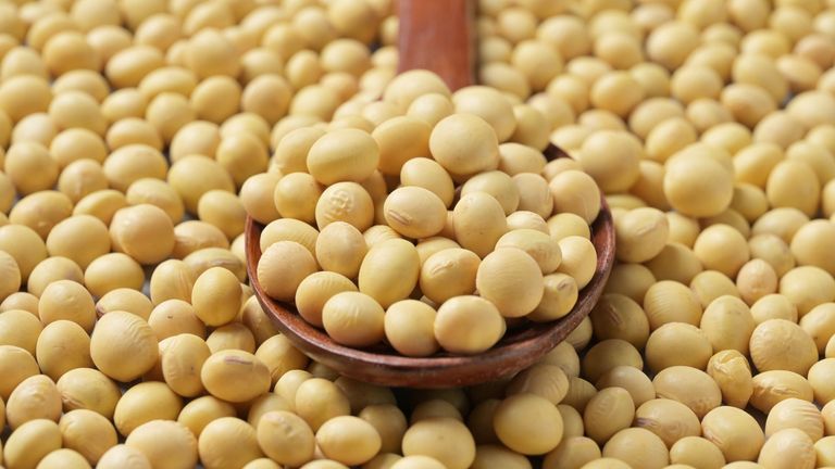 A vueltas con la soja: cuál es saludable y cuál no