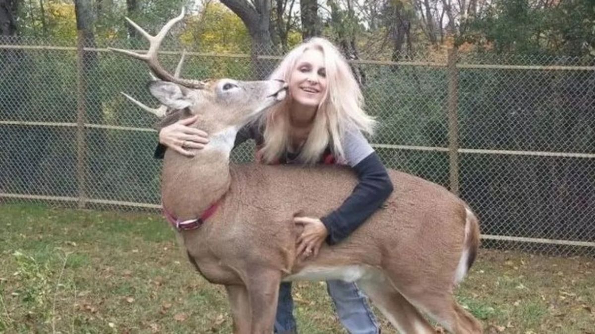 Muere una mujer tras ser atacada por el ciervo que había rescatado, cuidaba e intentaba domesticar