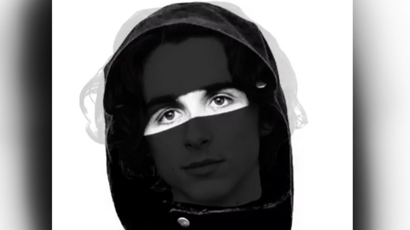 ¿Es Timothée Chalamet el rapero Es-dee-kid?
