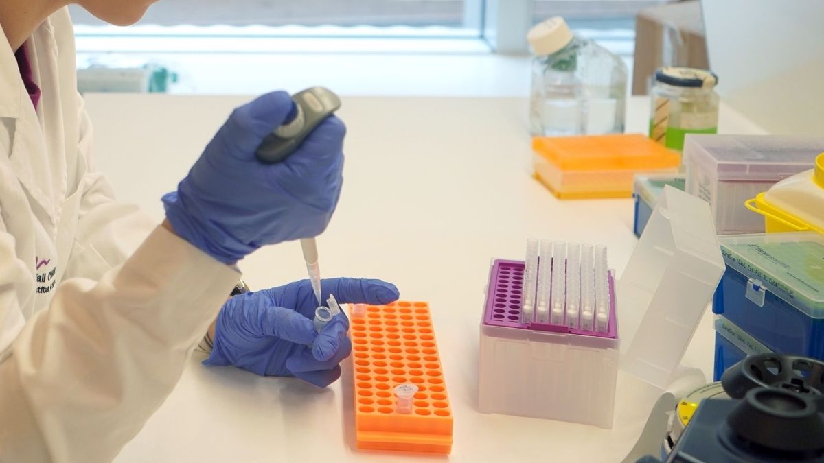 Identifican marcadores para anticipar el diagnóstico de cáncer en ...