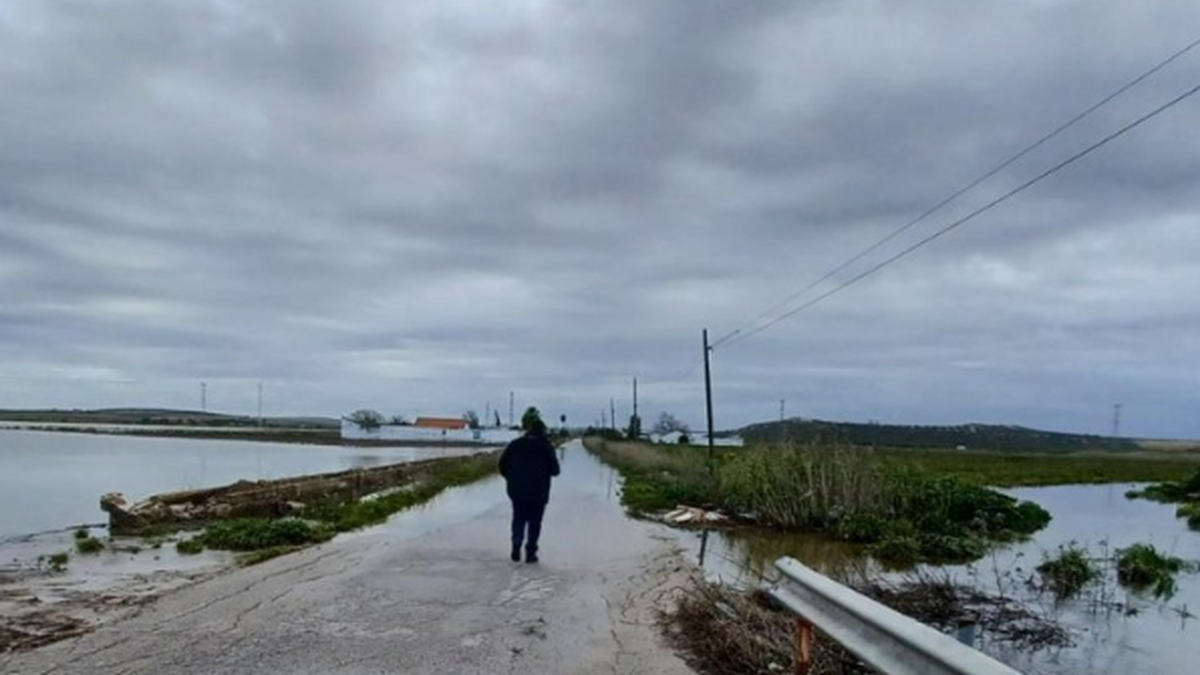 Un amplio dispositivo busca a un motorista arrastrado por un arroyo en ...