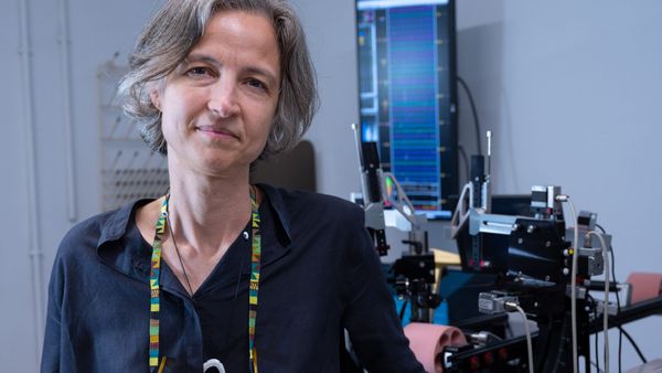 Liset Menéndez de la Prida, neurocientífica: “Generamos recuerdos de ...