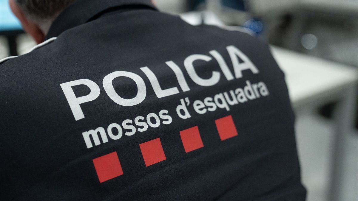 Detienen a un hombre como presunto autor de la muerte violenta de una ...