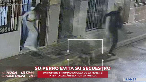 En vídeo | Un perro evita el secuestro de su dueña