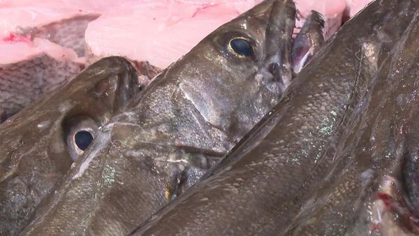 El lujo de comer pescado: cómo afecta el aumento del precio y los ...