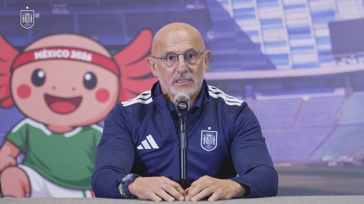 Luis de la Fuente defiende a Gavi tras el susto con Rodri y lanza un ...