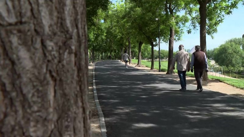Un estudio desmonta el mito de los 10.000 pasos: "El beneficio no está ...