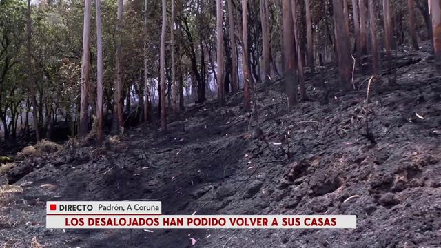 Así evolucionan los primeros incendios de este verano adelantado en ...